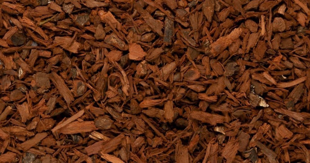 Conoce Los Beneficios Del Pygeum En La Salud Masculina