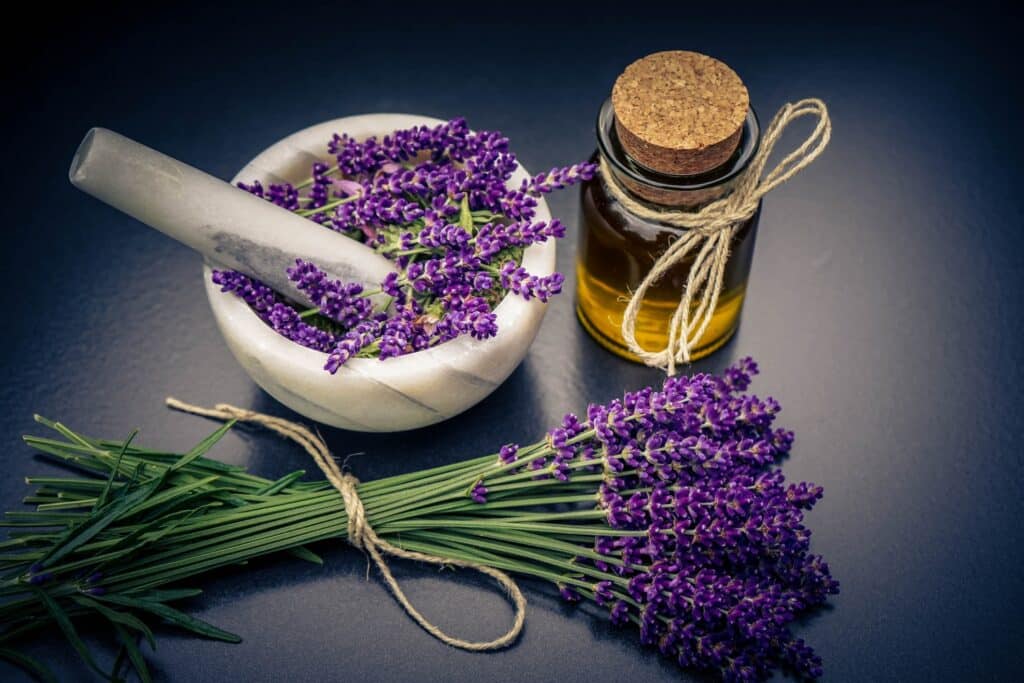 Beneficios De La Lavanda