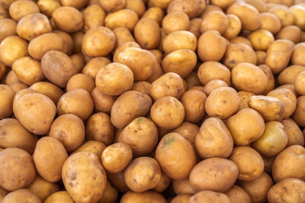 Papas: Todo Lo Que Debes Saber De Este Excelente Alimento