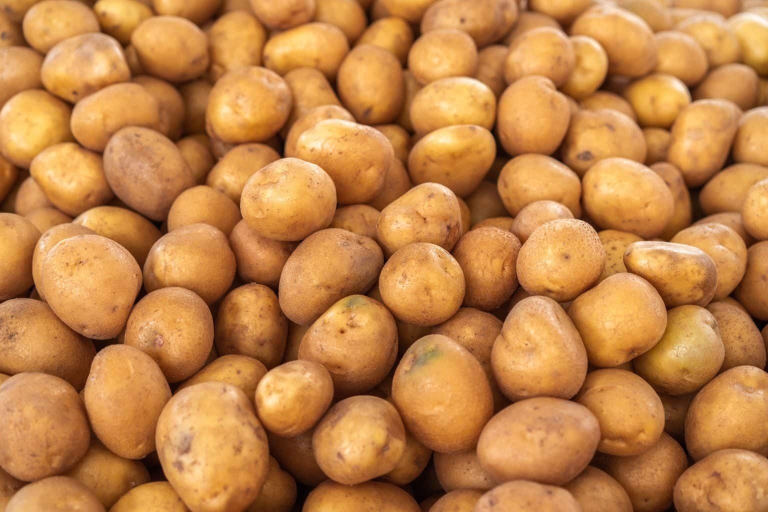 Papas: Todo Lo Que Debes Saber De Este Excelente Alimento